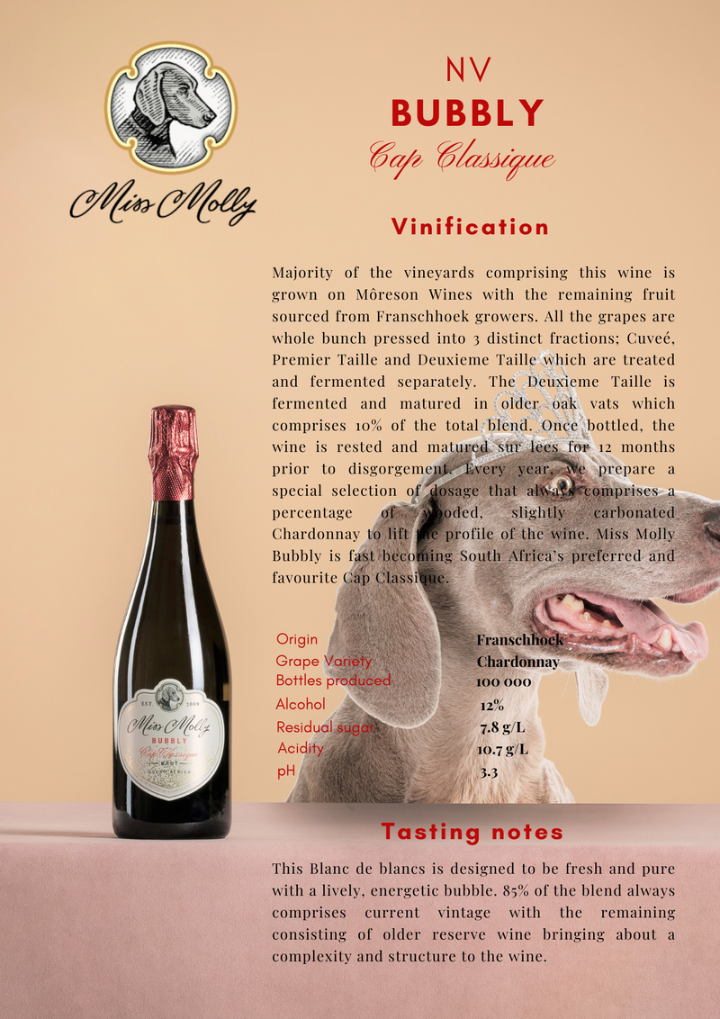 Bubbly | 12 Bottle Box Edition - Môreson